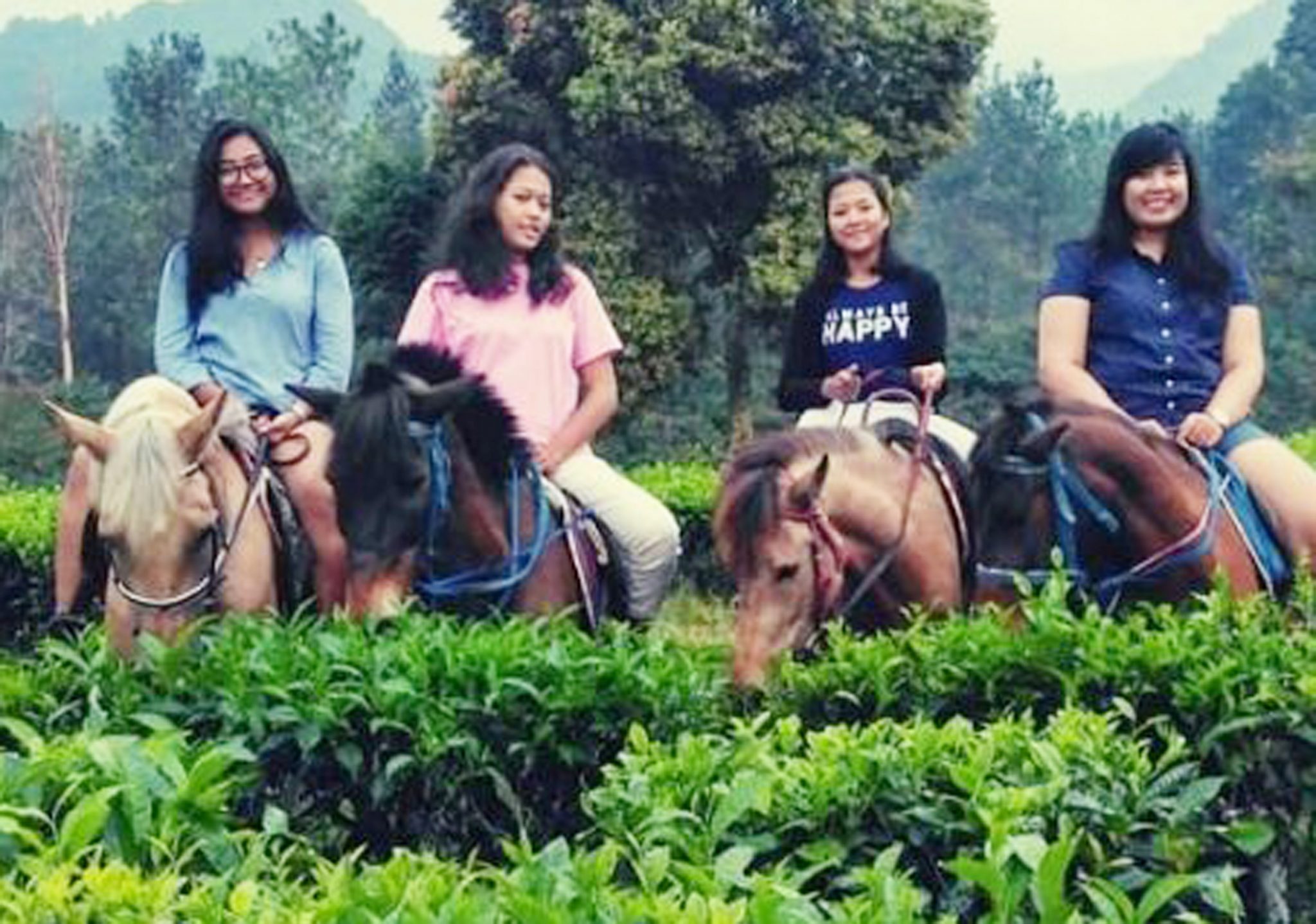 Agro Wisata Gunung Mas di Puncak Bogor - Event Puncak Organizer